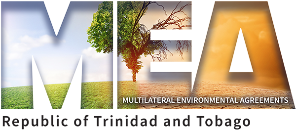 MEA Focal Areas – Multilateral Environmental Agreements