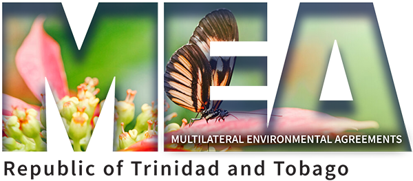 MEA Focal Areas – Multilateral Environmental Agreements
