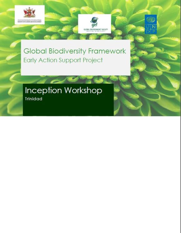 GBF-EAS Inception Workshop Report - Multilateral Environmental Agreements